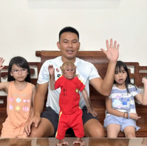 Meet Monkey BiBi: The Clever and Adorable Primate Influencer